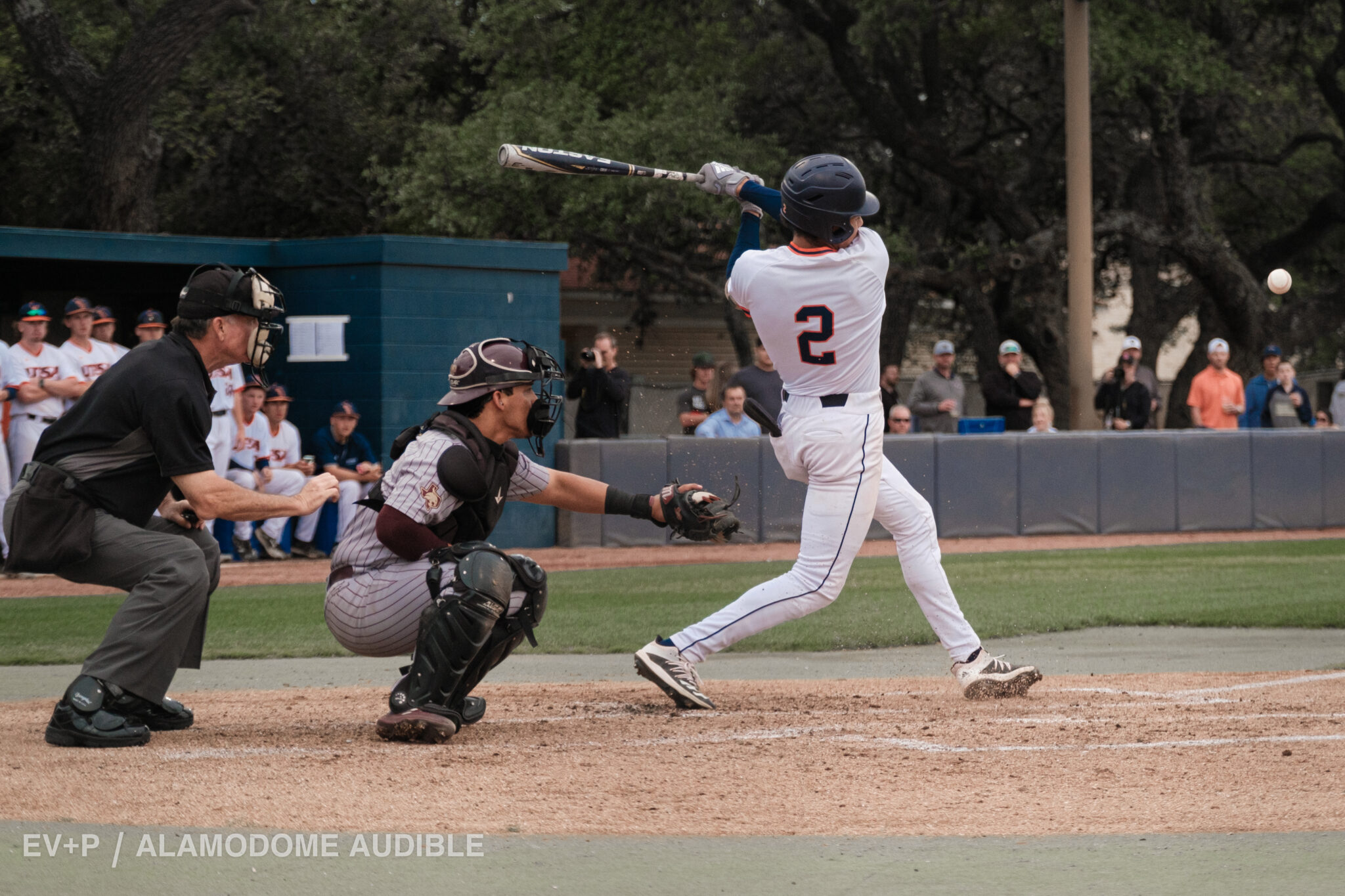 UTSA Fall Baseball 2022 Recap - Alamo Audible